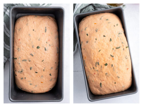 Tomato Basil Bread - Recipe Girl