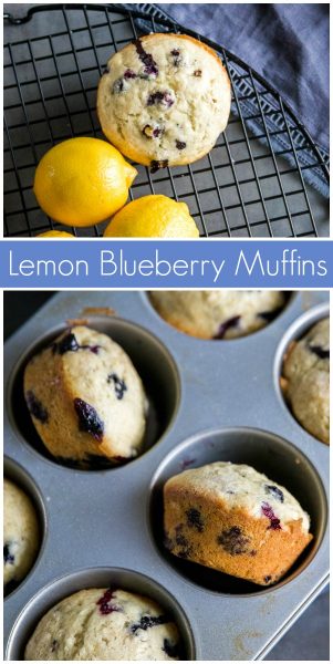 Lemon Blueberry Muffins - Recipe Girl