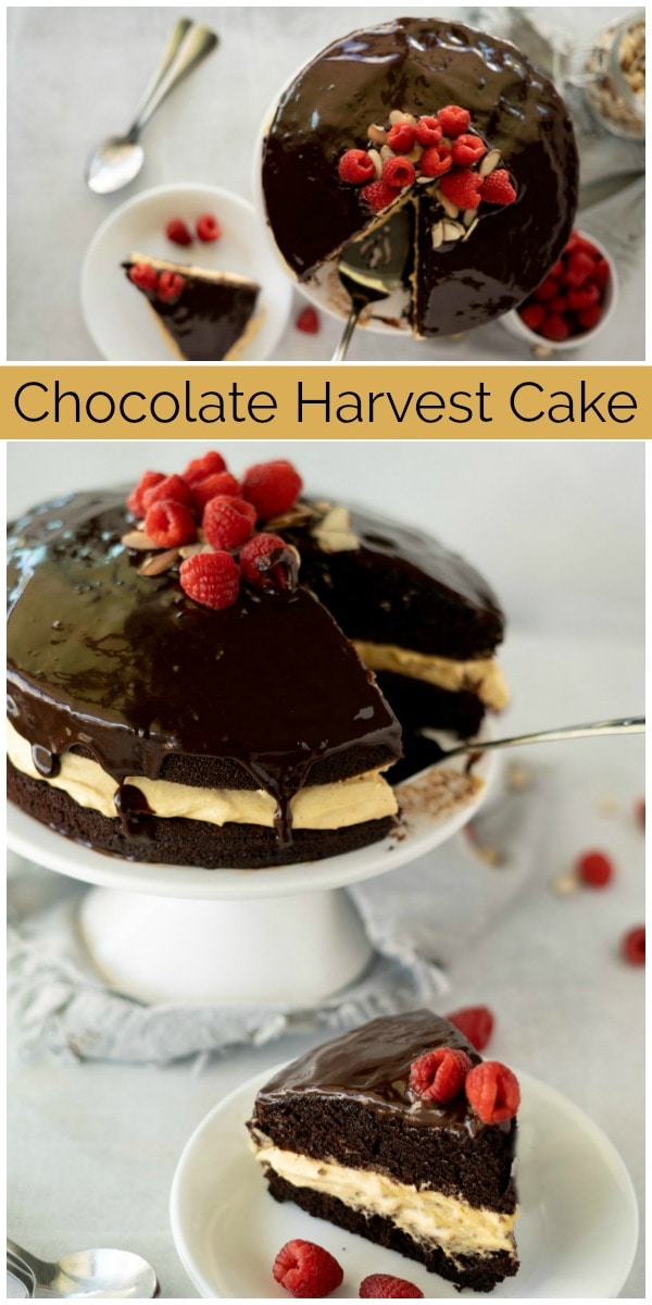 Chocolate Harvest Cake - Recipe Girl