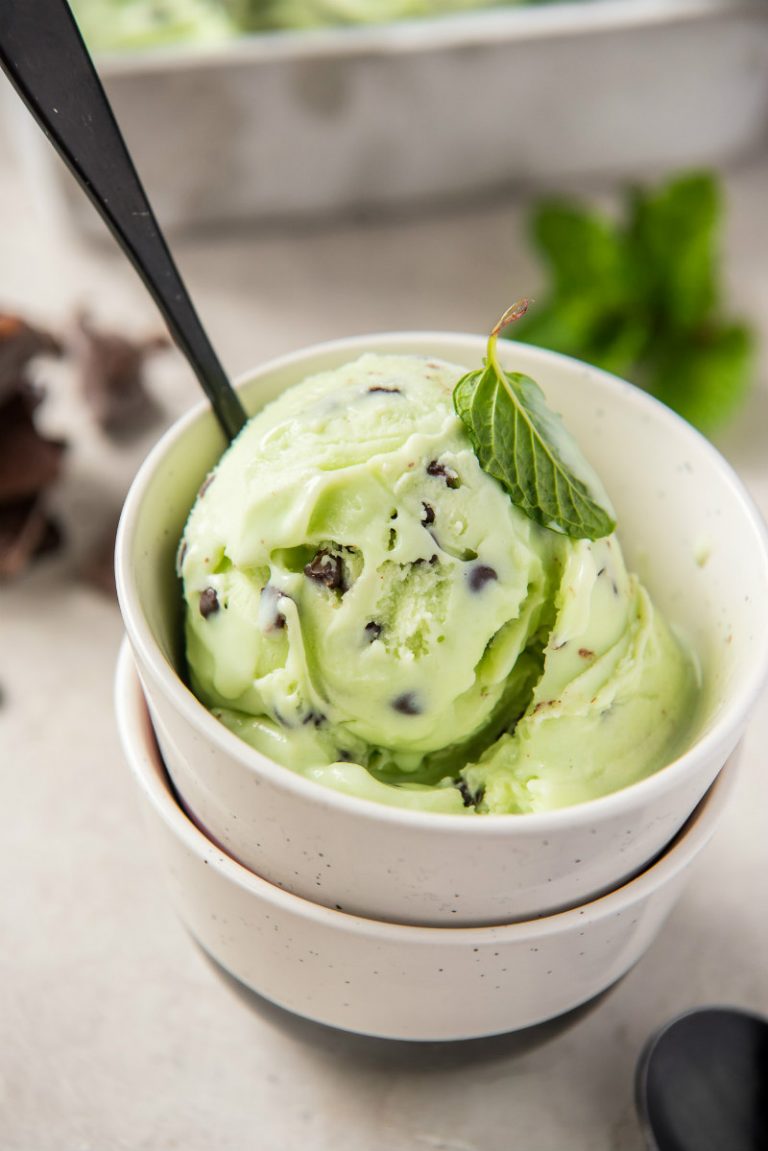 Low Fat Mint Chocolate Chip Ice Cream