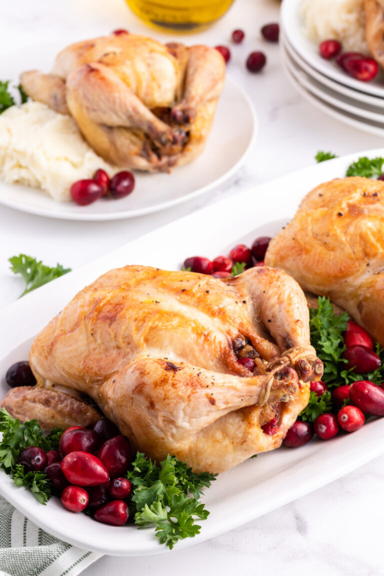 Cranberry Stuffed Cornish Hens – Venagredos