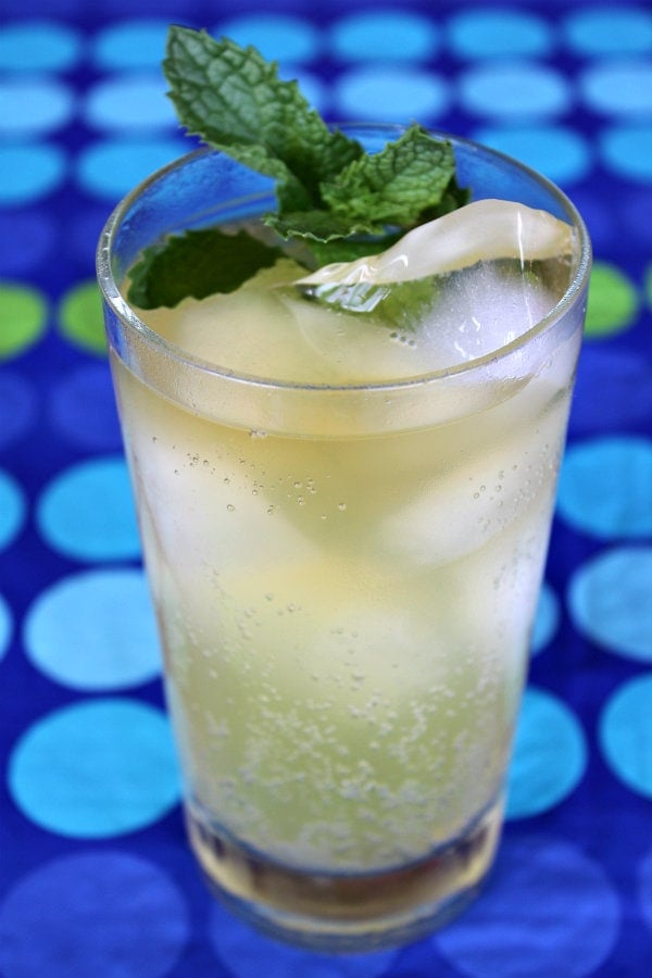 Best Ice For Cocktails