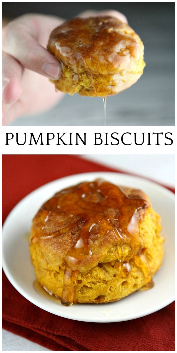 Pumpkin Biscuits - RecipeGirl
