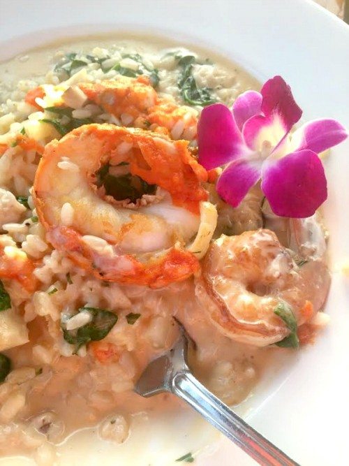 Maui: Where to Eat and What to Do - Recipe Girl