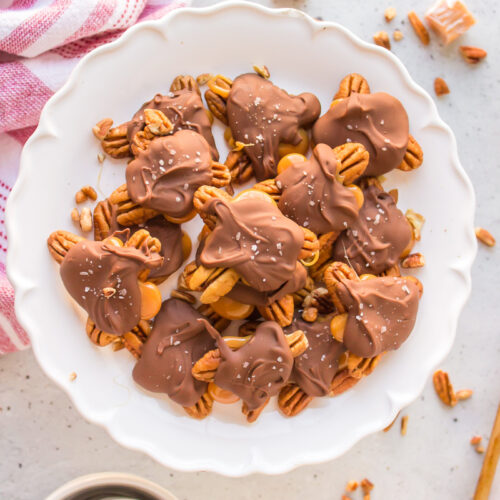 Turtles - Recipe Girl®