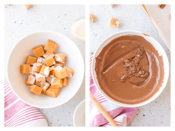 Turtles - Recipe Girl®
