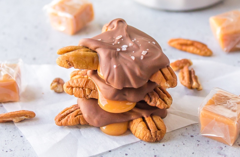 Turtles - Recipe Girl®