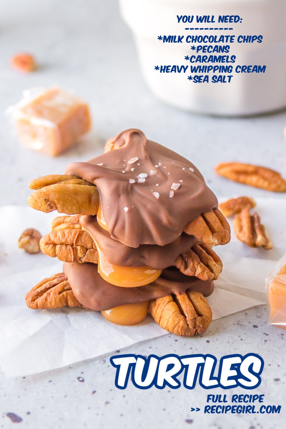 Turtles - Recipe Girl®