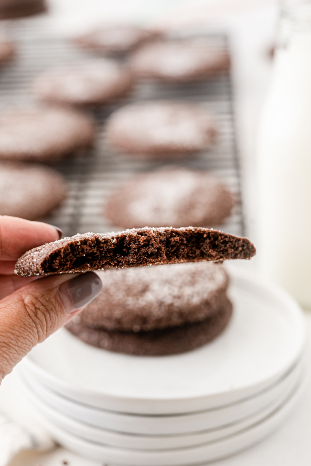 Chocolate Sugar Cookies - Recipe Girl®